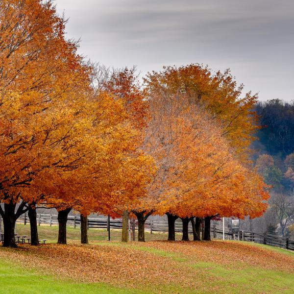 Visiting - The Galena Territory Association